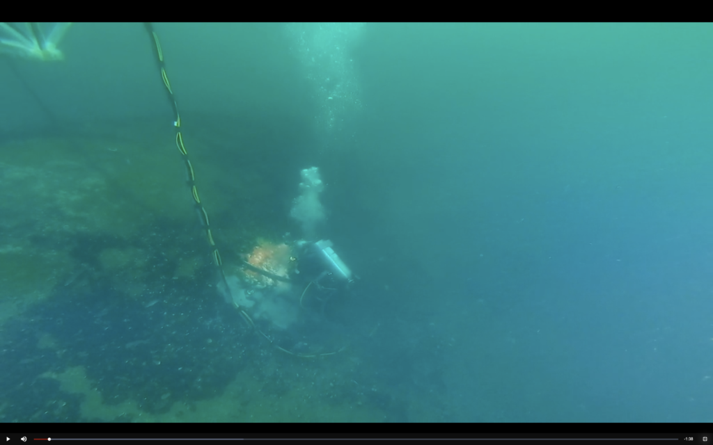 Deep-Water Diver Completes a Work Cycle at a Depth of 180 Feet - USCG