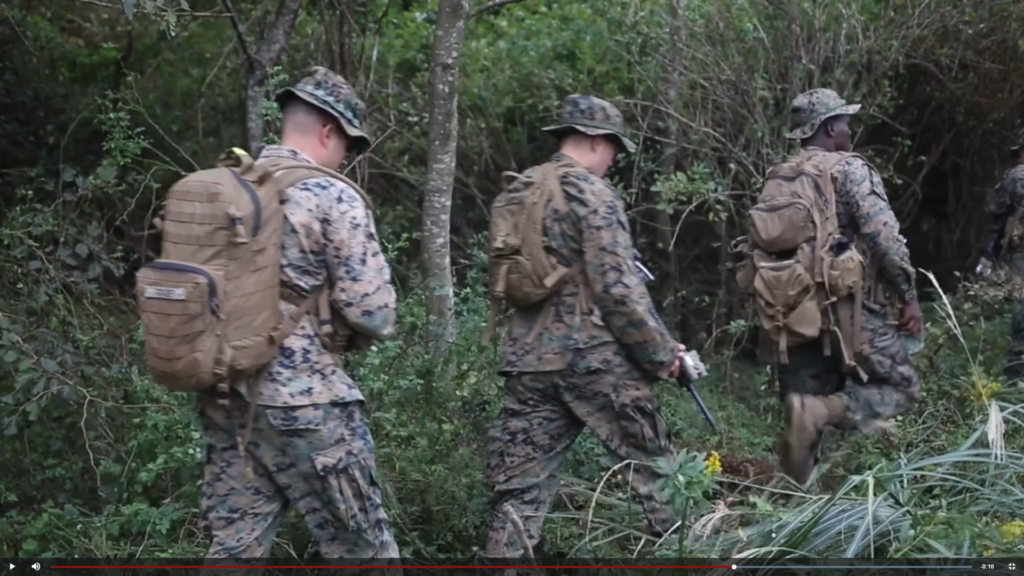Land Navigation - U.S. Marines at Exercise Fuji Viper 20-1 at Camp Fuji