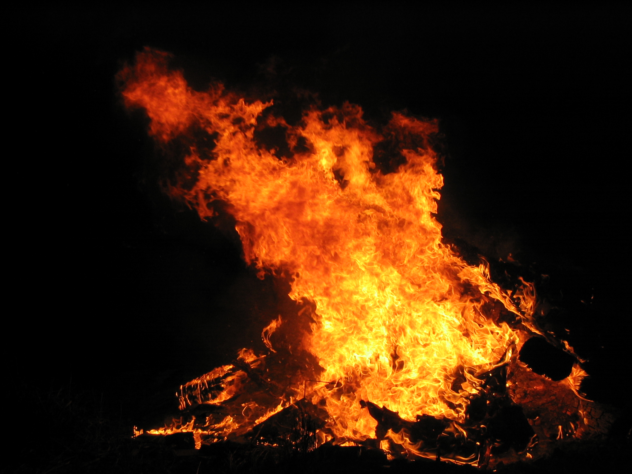 Expository Sermon on Leviticus 10:1-3 - Strange Fire and Worshiping God