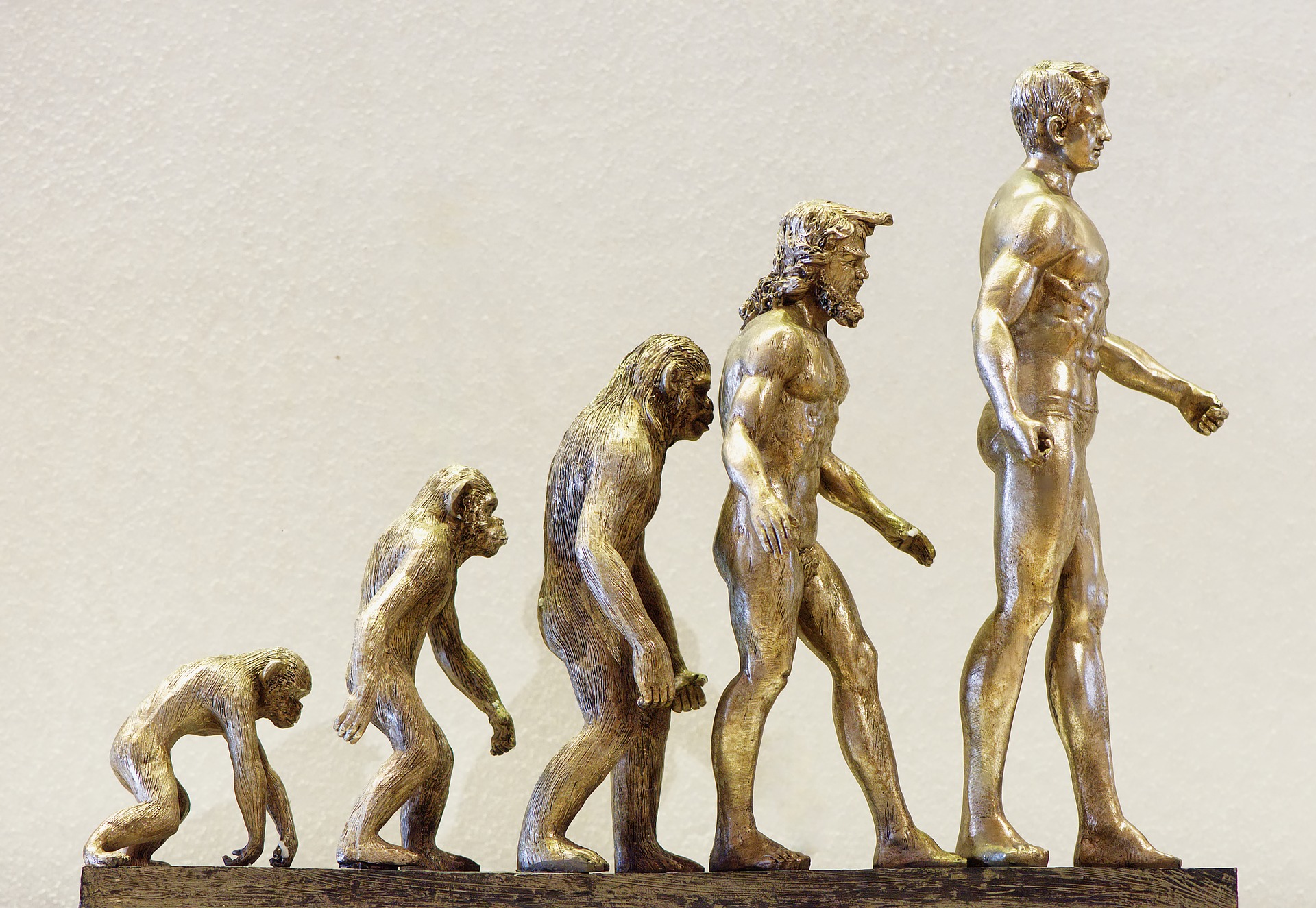 Genesis Chapter One and Theistic Evolution - A Sermon from Genesis One